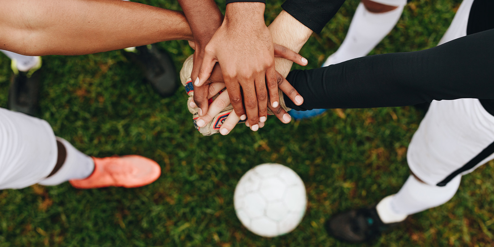 Canada Sport Commissions Final Report Time For Action
